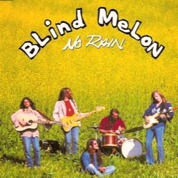 No Rain - Song Lyrics and Music by Blind Melon arranged by JavyZX14r on ...