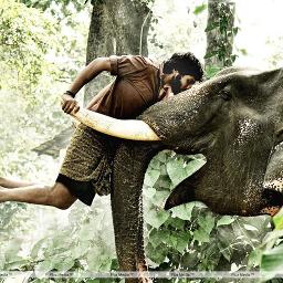 Onnum Puriyala - Kumki - Song Lyrics and Music by D Imman arranged by ...