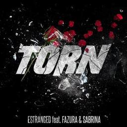 TORN - Song Lyrics and Music by Estranged arranged by Rexwanz on Smule ...