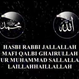 🌼🄷🄰🅂🄱🄸 RABBI🌼======= RABBI RABBI RABBI - Song Lyrics and Music by 🌼 ...