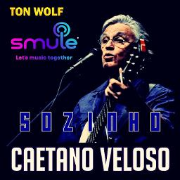 Sozinho - Song Lyrics and Music by Caetano Veloso arranged by TON_WOLF ...
